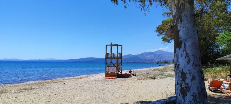 Δήμος Μαραθώνος: Ελεύθερες και ασφαλείς οι παραλίες της περιοχής | RPN